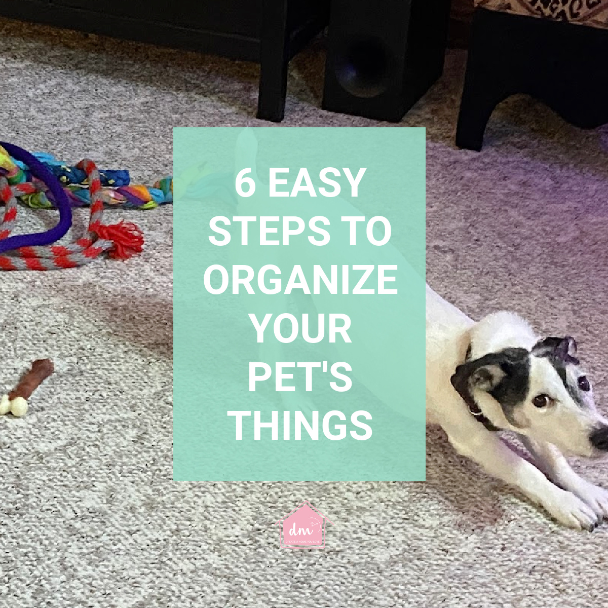 How To Organize Pet Supplies - Declutter in Minutes